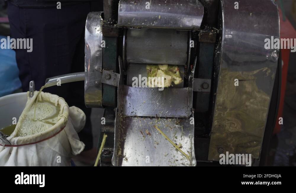 Natural fiber extraction Stock Videos & Footage - HD and 4K Video Clips ...