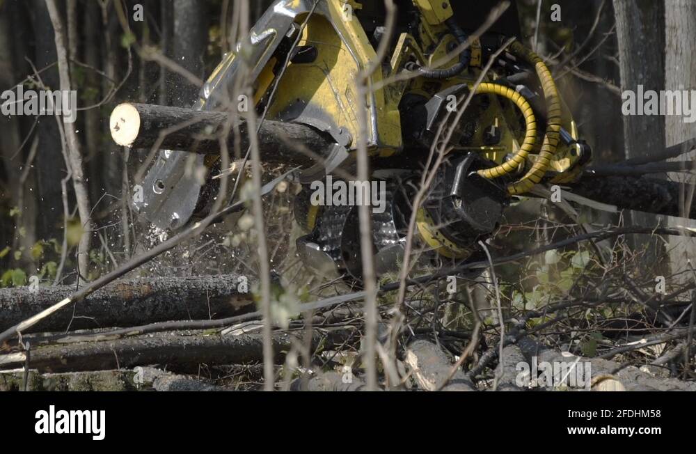 Forest timber tractor equipment Stock Videos & Footage - HD and 4K ...
