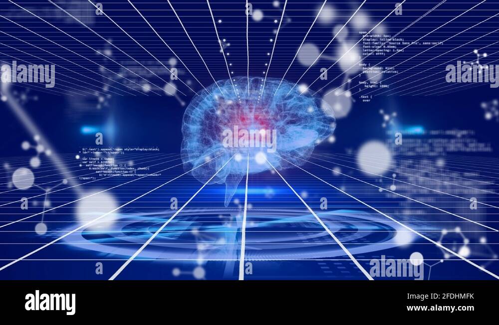 Evolution of human intelligence in human brain Stock Videos & Footage ...