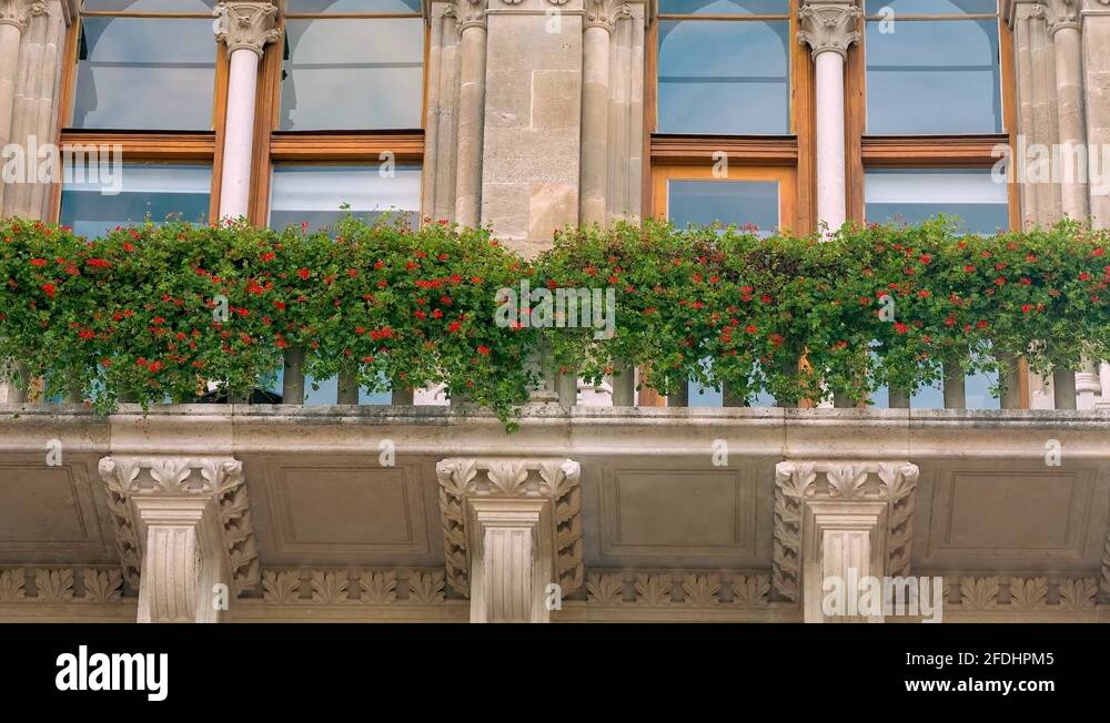 Red column plants Stock Videos & Footage - HD and 4K Video Clips - Alamy