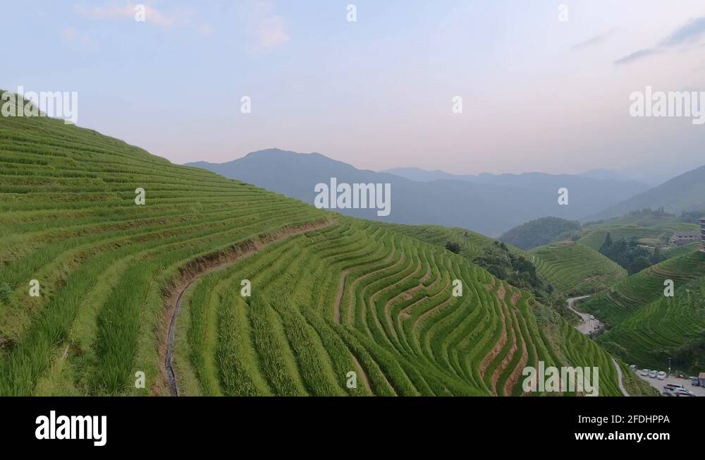 Pingan rice terrace Stock Videos & Footage - HD and 4K Video Clips - Alamy