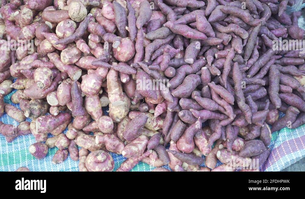 Yam Stock Videos & Footage - HD and 4K Video Clips - Alamy