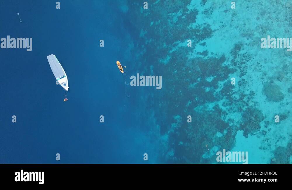 Macan island Stock Videos & Footage - HD and 4K Video Clips - Alamy