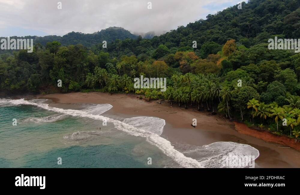 Nuqui colombia Stock Videos & Footage - HD and 4K Video Clips - Alamy