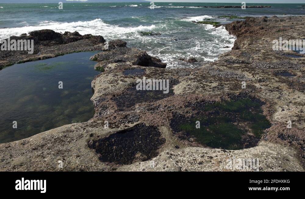 Wave pools Stock Videos & Footage - HD and 4K Video Clips - Alamy