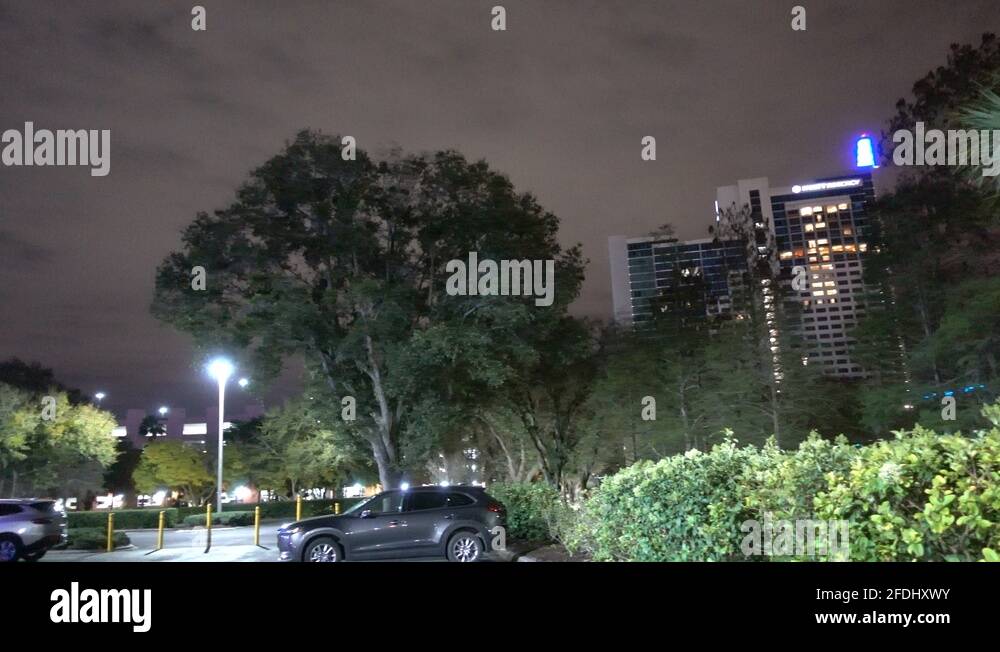 Tropical vaca Stock Videos & Footage - HD and 4K Video Clips - Alamy