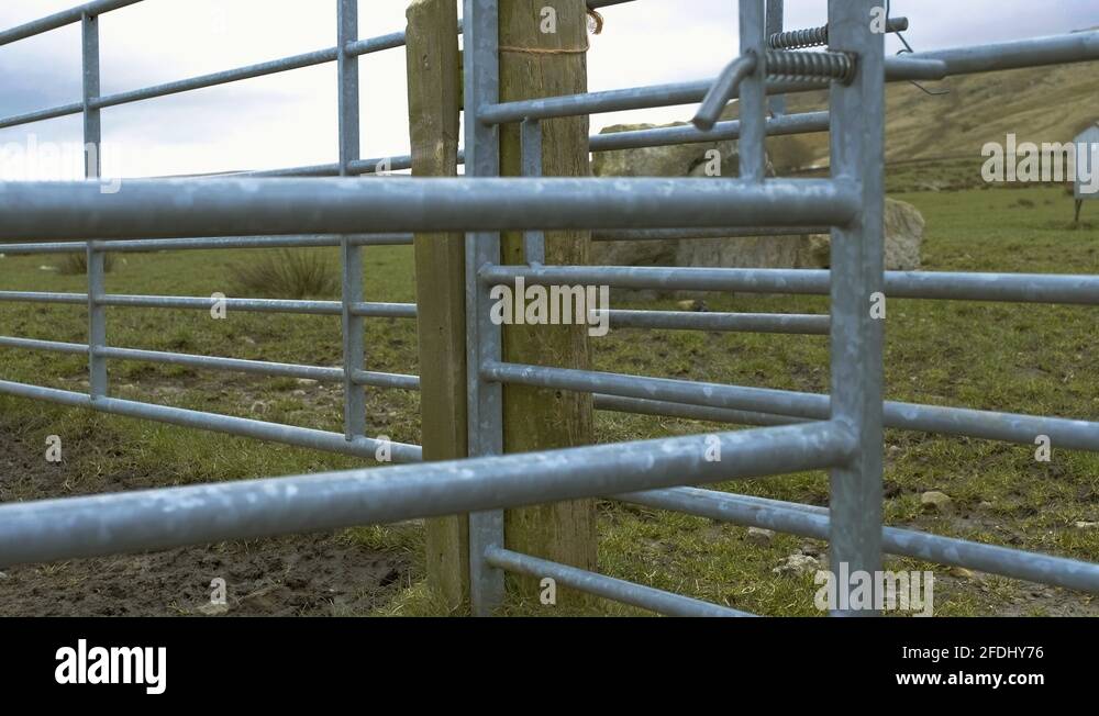 Gator power gates Stock Videos & Footage - HD and 4K Video Clips - Alamy
