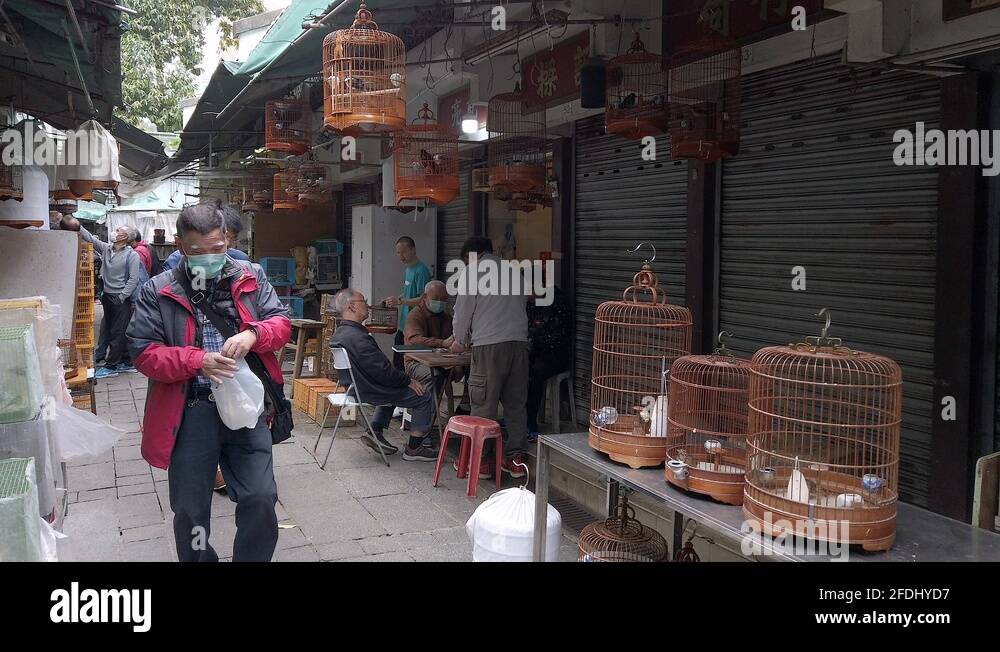 Hong Kong Bird Market, known as Yuen Po Bird Garden, with traditional ...