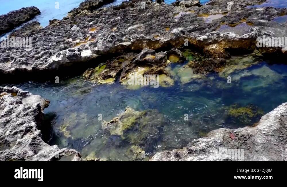 Tidal islands Stock Videos & Footage - HD and 4K Video Clips - Alamy