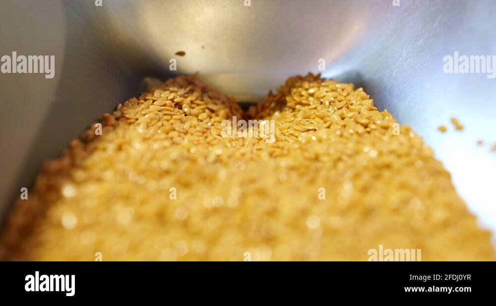 Yellow linseed Stock Videos & Footage - HD and 4K Video Clips - Alamy