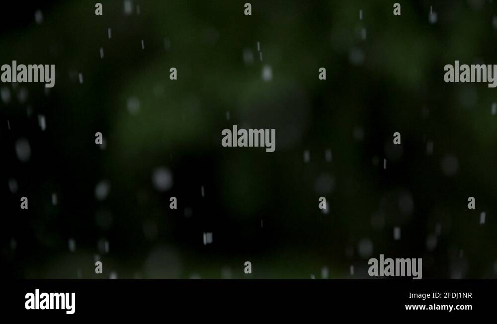 Falling out of tree Stock Videos & Footage - HD and 4K Video Clips - Alamy