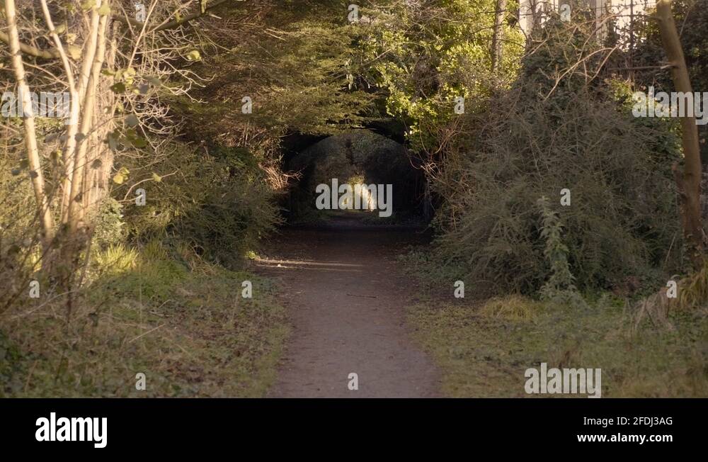 Landscape dirt soil pathway Stock Videos & Footage - HD and 4K Video ...