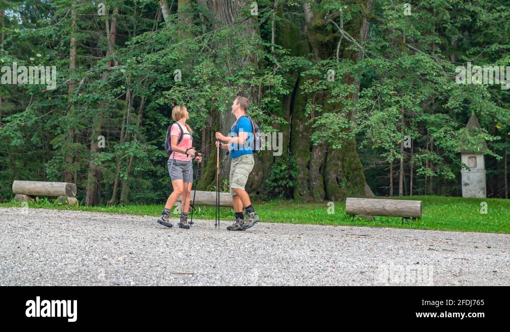Couple walking out of a forest. Looking back at the big trees. Hiking ...