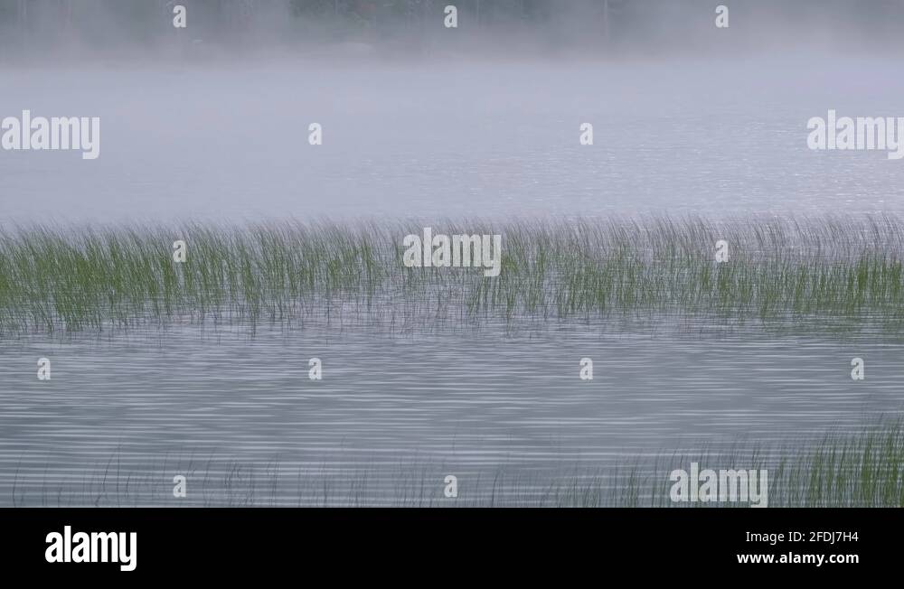 Steam plants Stock Videos & Footage - HD and 4K Video Clips - Alamy
