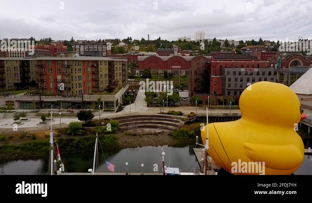 Thea foss Stock Videos & Footage - HD and 4K Video Clips - Alamy