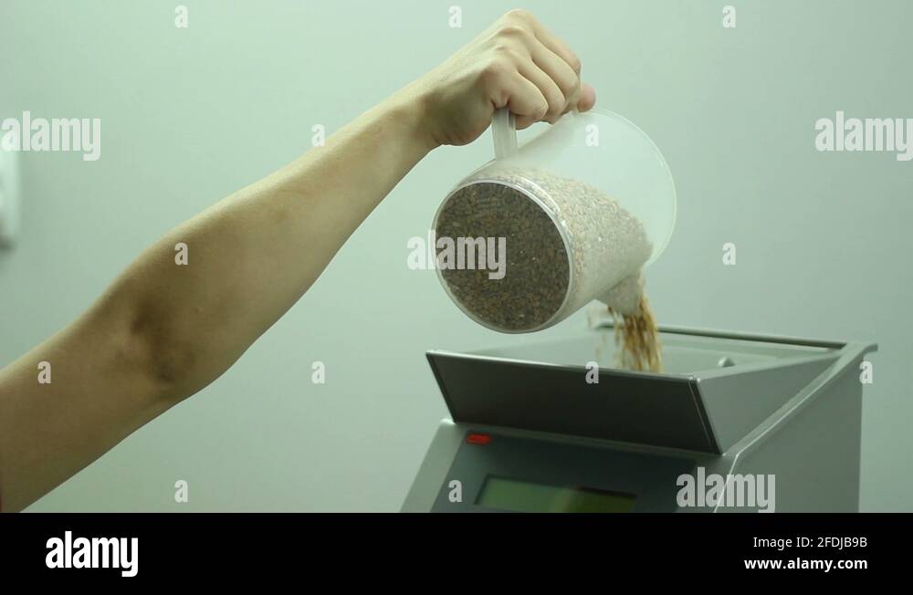 Laboratory Testing -Wheat Seed Quality Control Stock Video Footage - Alamy