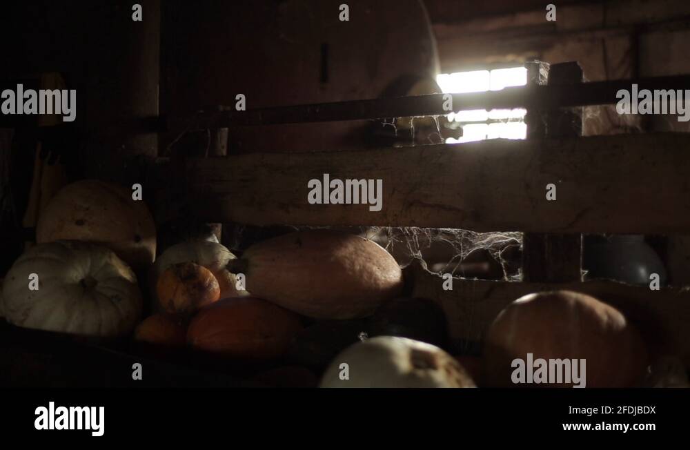 Dark farm Stock Videos & Footage - HD and 4K Video Clips - Alamy