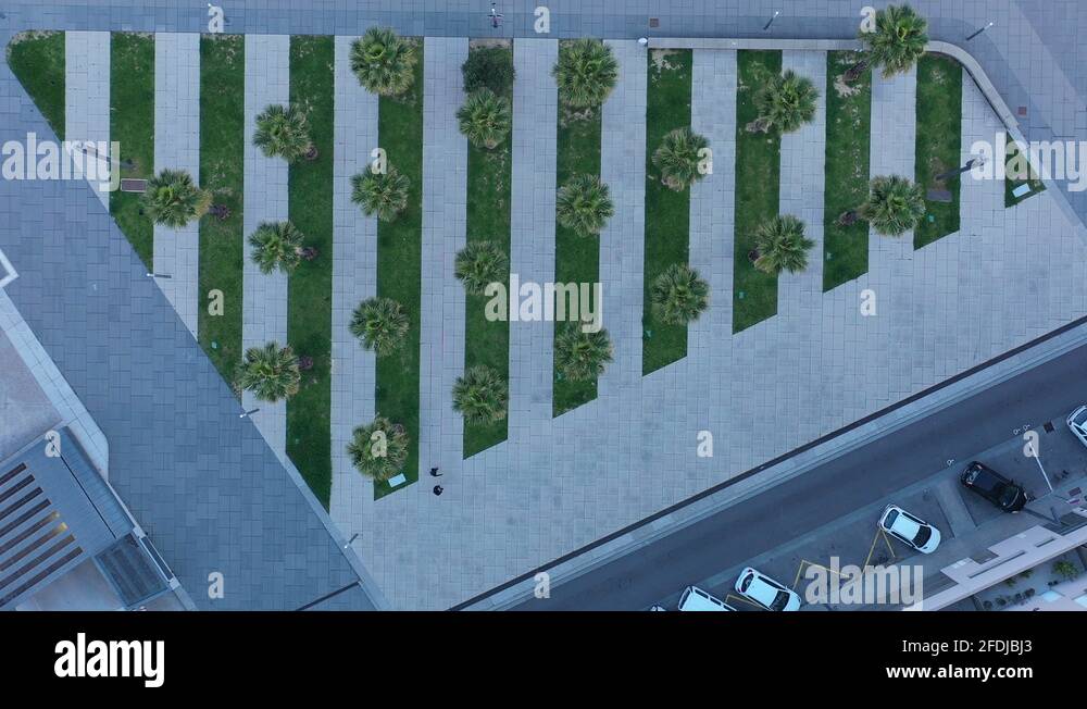 Urban palm trees Stock Videos & Footage - HD and 4K Video Clips - Alamy