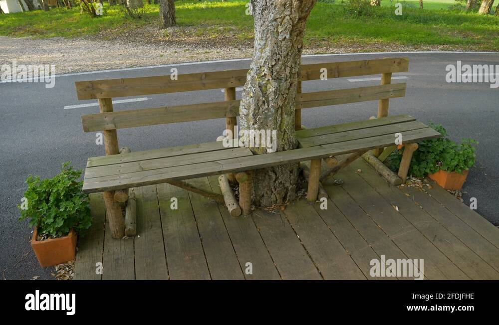 Seat around tree Stock Videos & Footage - HD and 4K Video Clips - Alamy