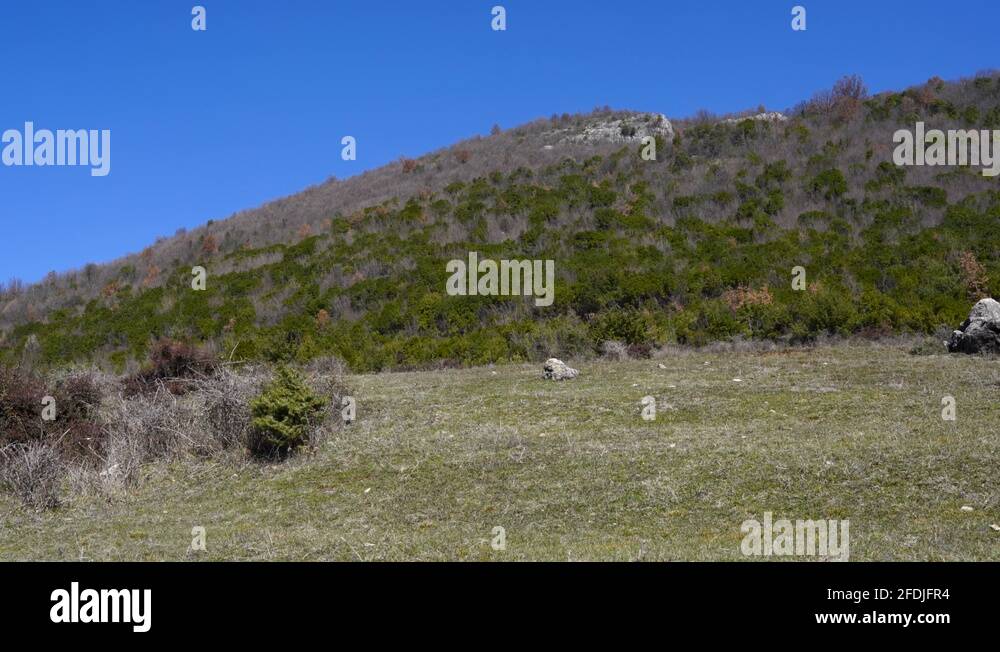Bottom slope Stock Videos & Footage - HD and 4K Video Clips - Alamy
