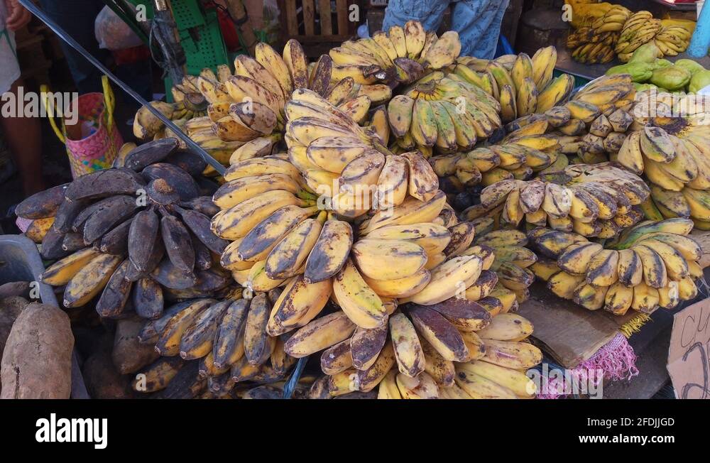 Cardavabanana Stock Videos & Footage - HD and 4K Video Clips - Alamy