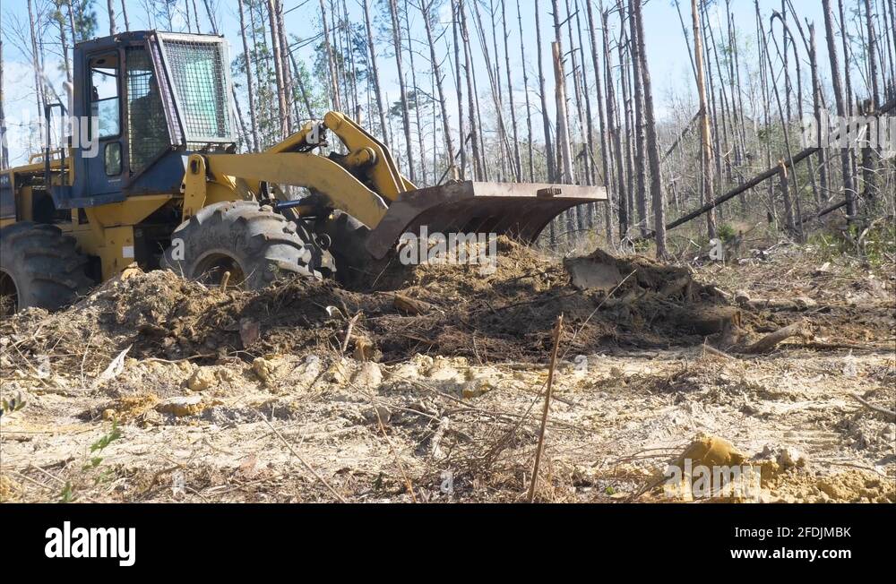 Root rake excavator clearing and pushing roots into a brush pile Stock ...