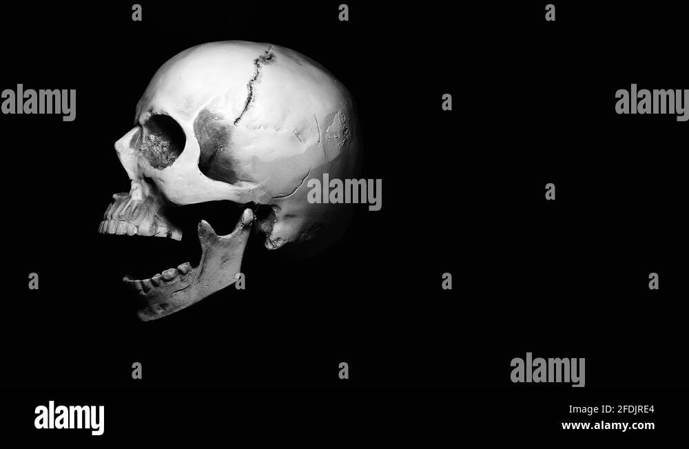 Rotating skull on black background, skeleton head for anatomy classes ...
