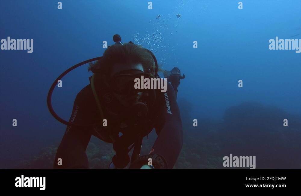 Underwater editorial blue Stock Videos & Footage - HD and 4K Video ...