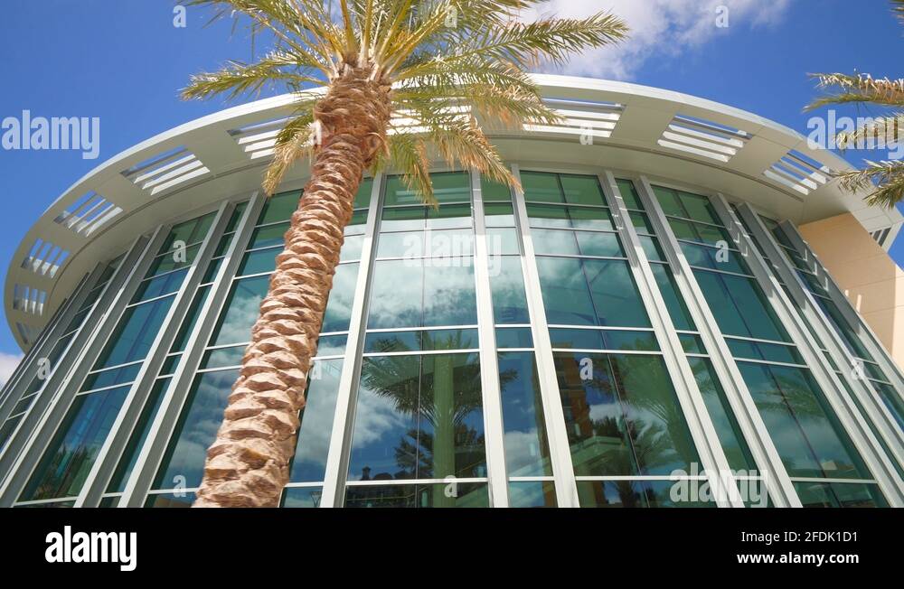 Modern architecture palm trees Stock Videos & Footage - HD and 4K Video ...