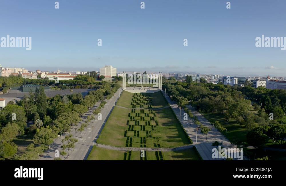 Bush pattern Stock Videos & Footage - HD and 4K Video Clips - Alamy