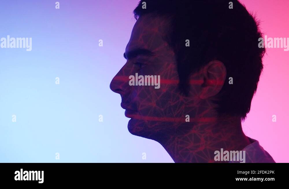 Biometric identification crime face Stock Videos & Footage - HD and 4K ...