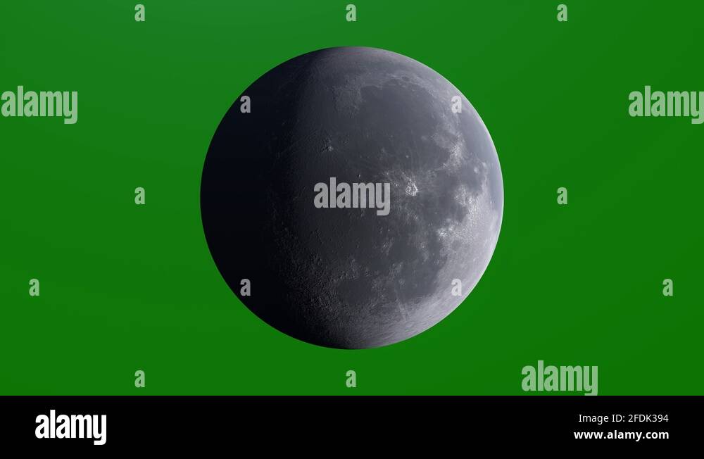 Realistic texture Stock Videos & Footage - HD and 4K Video Clips - Alamy