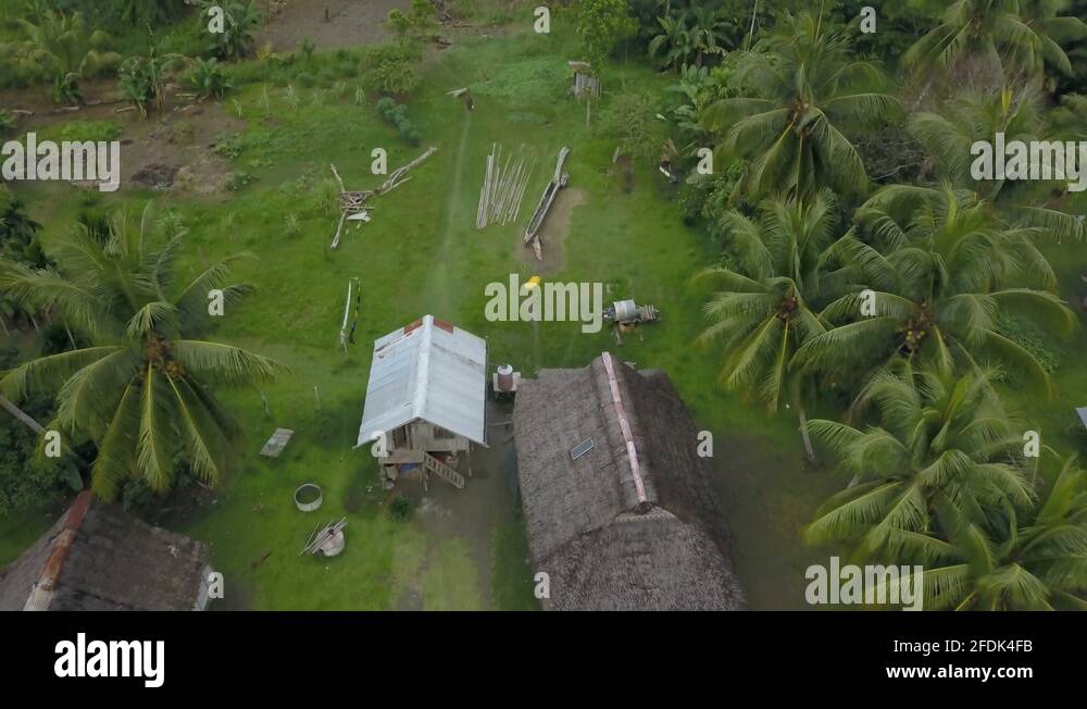 Birds eye view palm trees Stock Videos & Footage - HD and 4K Video ...