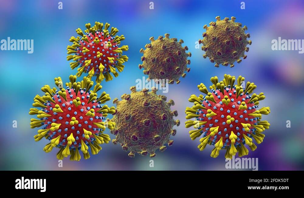 Types of coronavirus Stock Videos & Footage - HD and 4K Video Clips - Alamy