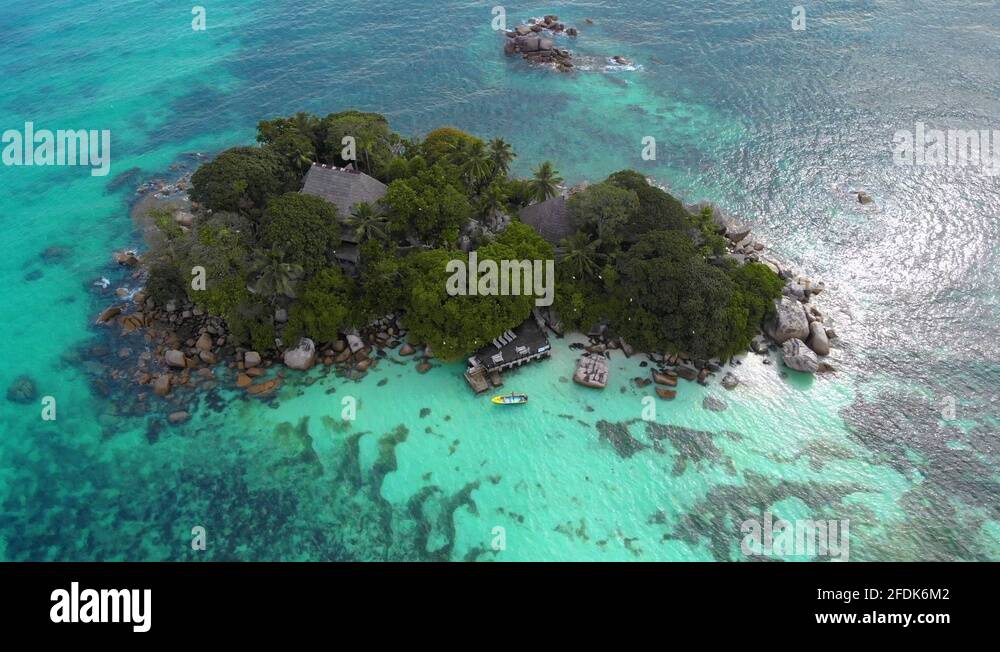 Belize bird island Stock Videos & Footage - HD and 4K Video Clips - Alamy