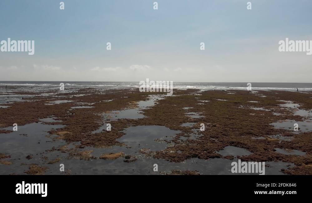Tide pools in the rocks Stock Videos & Footage - HD and 4K Video Clips ...
