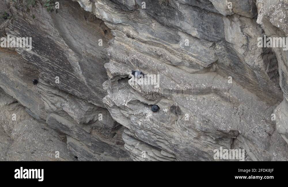 Hillside ledge Stock Videos & Footage - HD and 4K Video Clips - Alamy