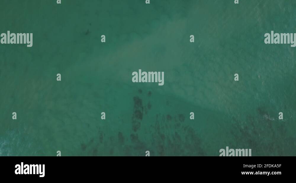 Ocean floor bed Stock Videos & Footage - HD and 4K Video Clips - Alamy