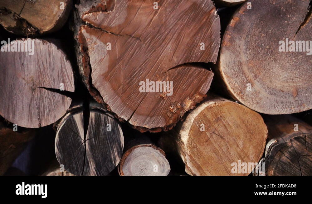 Timber log wall Stock Videos & Footage - HD and 4K Video Clips - Alamy
