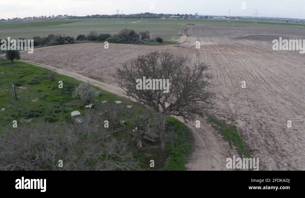 Field circle Stock Videos & Footage - HD and 4K Video Clips - Alamy