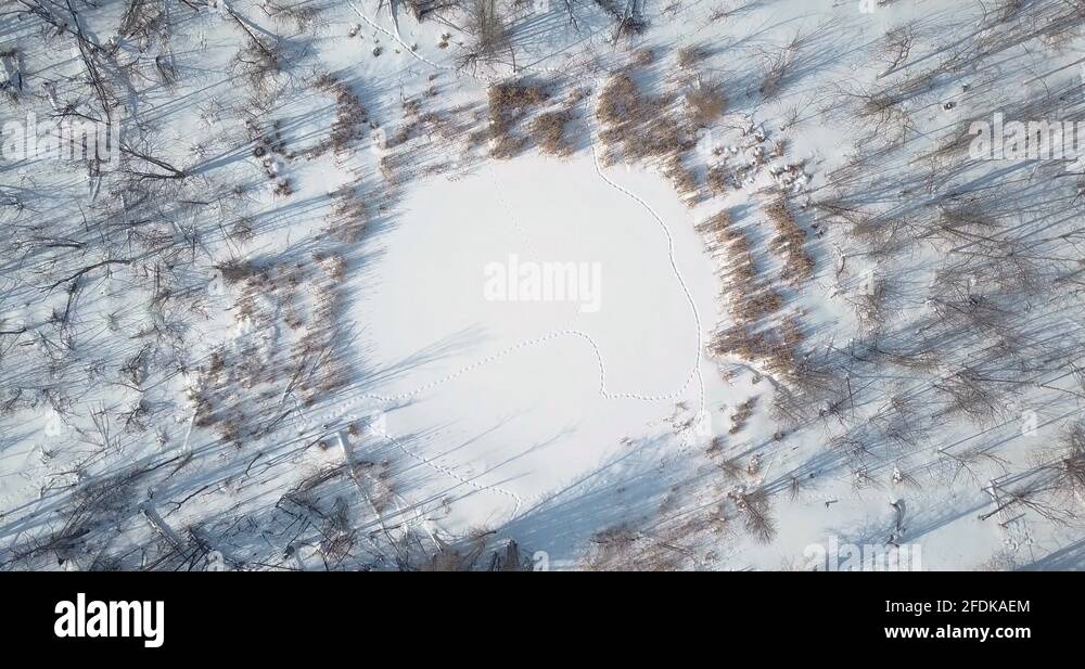 Traditional decline Stock Videos & Footage - HD and 4K Video Clips - Alamy