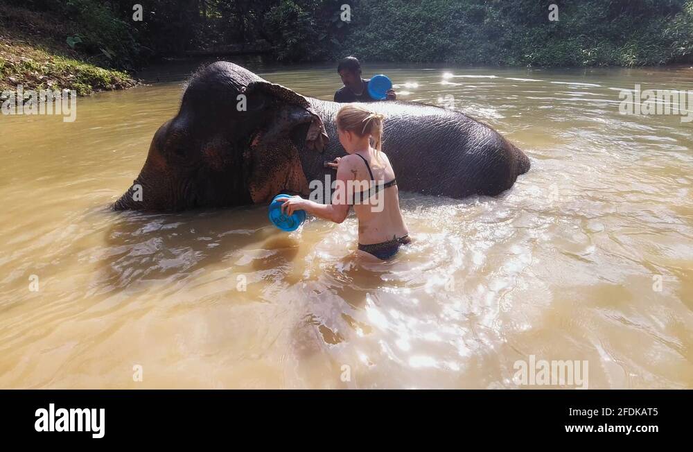 Woman bathing in mud Stock Videos & Footage - HD and 4K Video Clips - Alamy