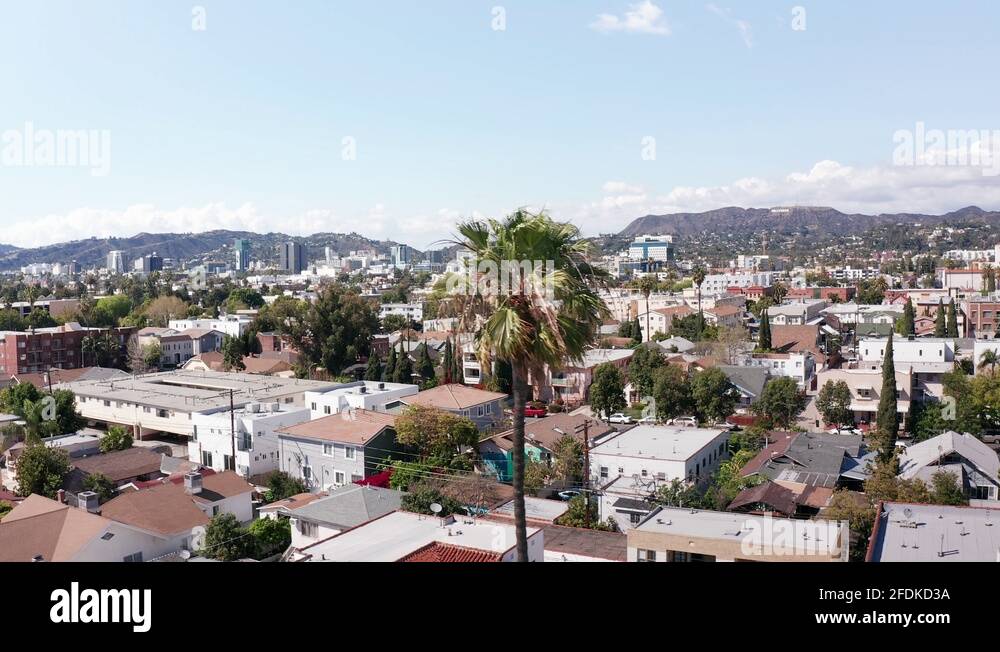 Medium speed dolly and pan past palm tree with Hollywood in the Stock ...