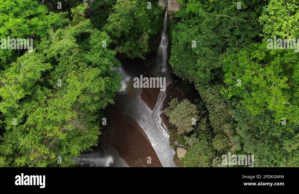 Cool rainforest Stock Videos & Footage - HD and 4K Video Clips - Alamy