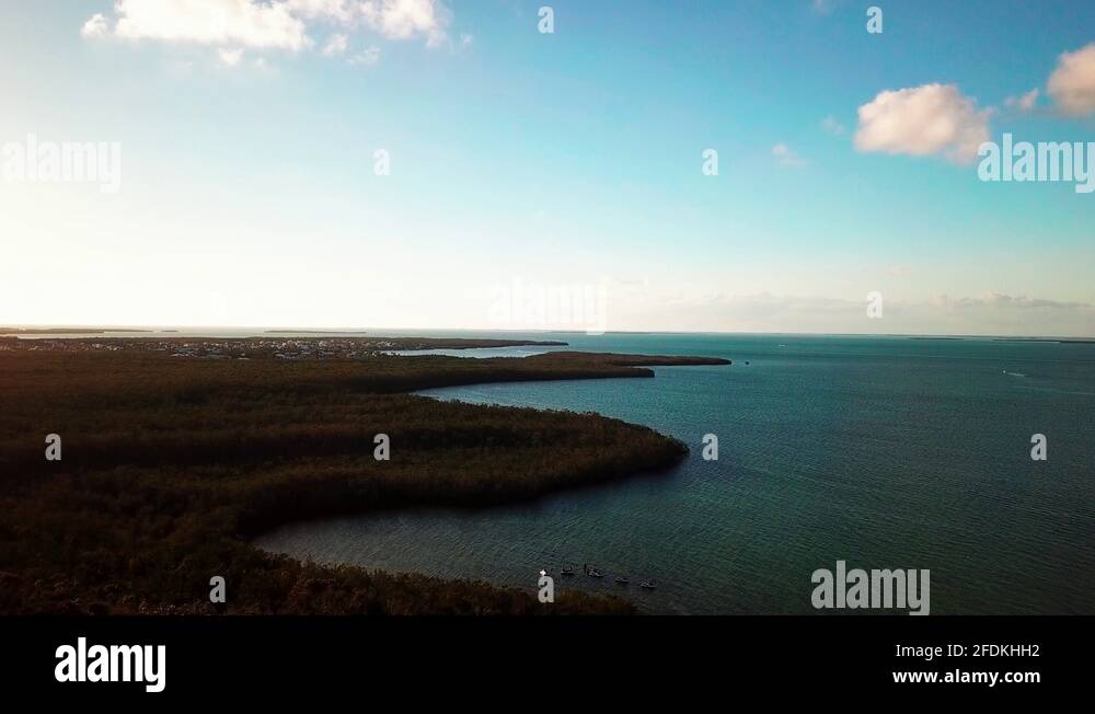 Mangrove forest florida keys Stock Videos & Footage - HD and 4K Video ...