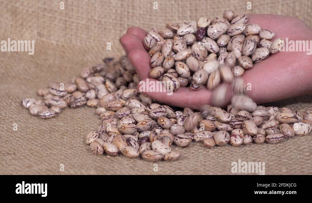 Cloth jute Stock Videos & Footage - HD and 4K Video Clips - Alamy