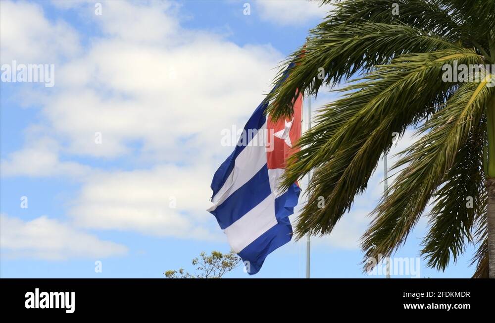 Cuban national flags Stock Videos & Footage - HD and 4K Video Clips - Alamy
