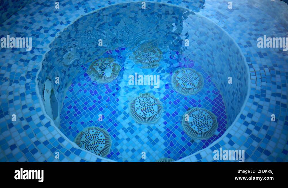 Down the plughole Stock Videos & Footage - HD and 4K Video Clips - Alamy
