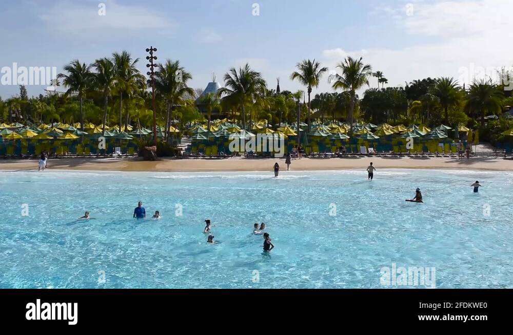Moana pool Stock Videos & Footage - HD and 4K Video Clips - Alamy