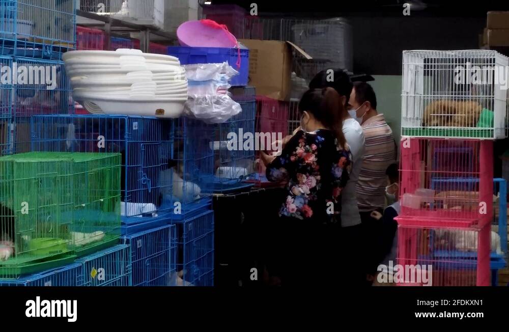 Pet shopping Stock Videos & Footage - HD and 4K Video Clips - Alamy
